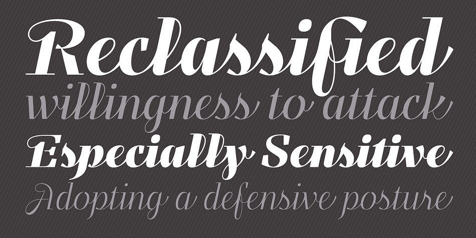 Felis Script Font