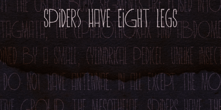 Spiderlegs Font