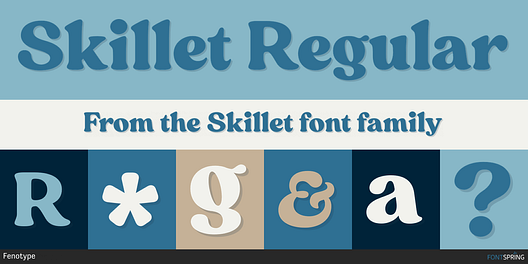 Fonts similar to Skillet