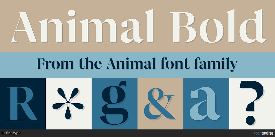 Animal Bold Font