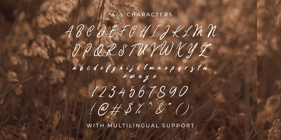 Timberland Font