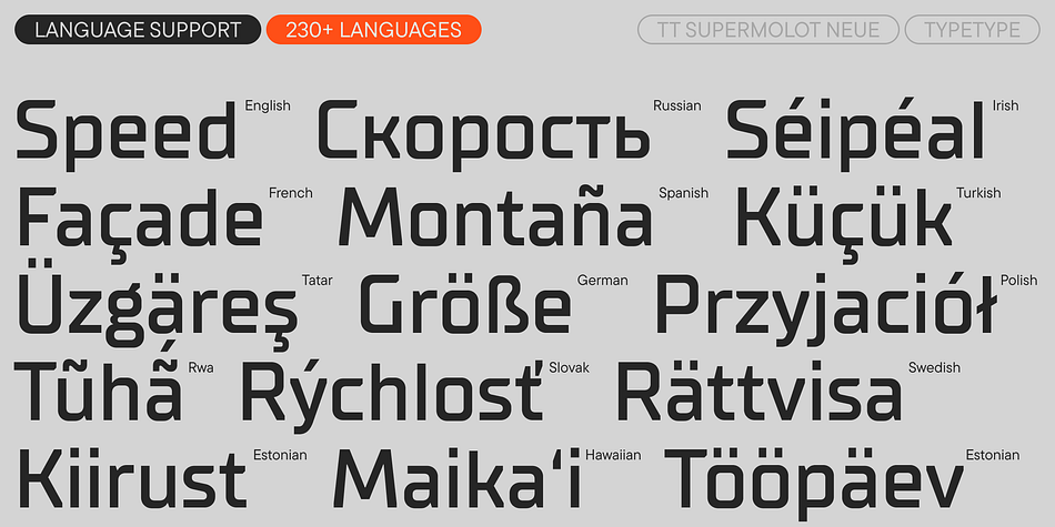TT Supermolot Neue Font