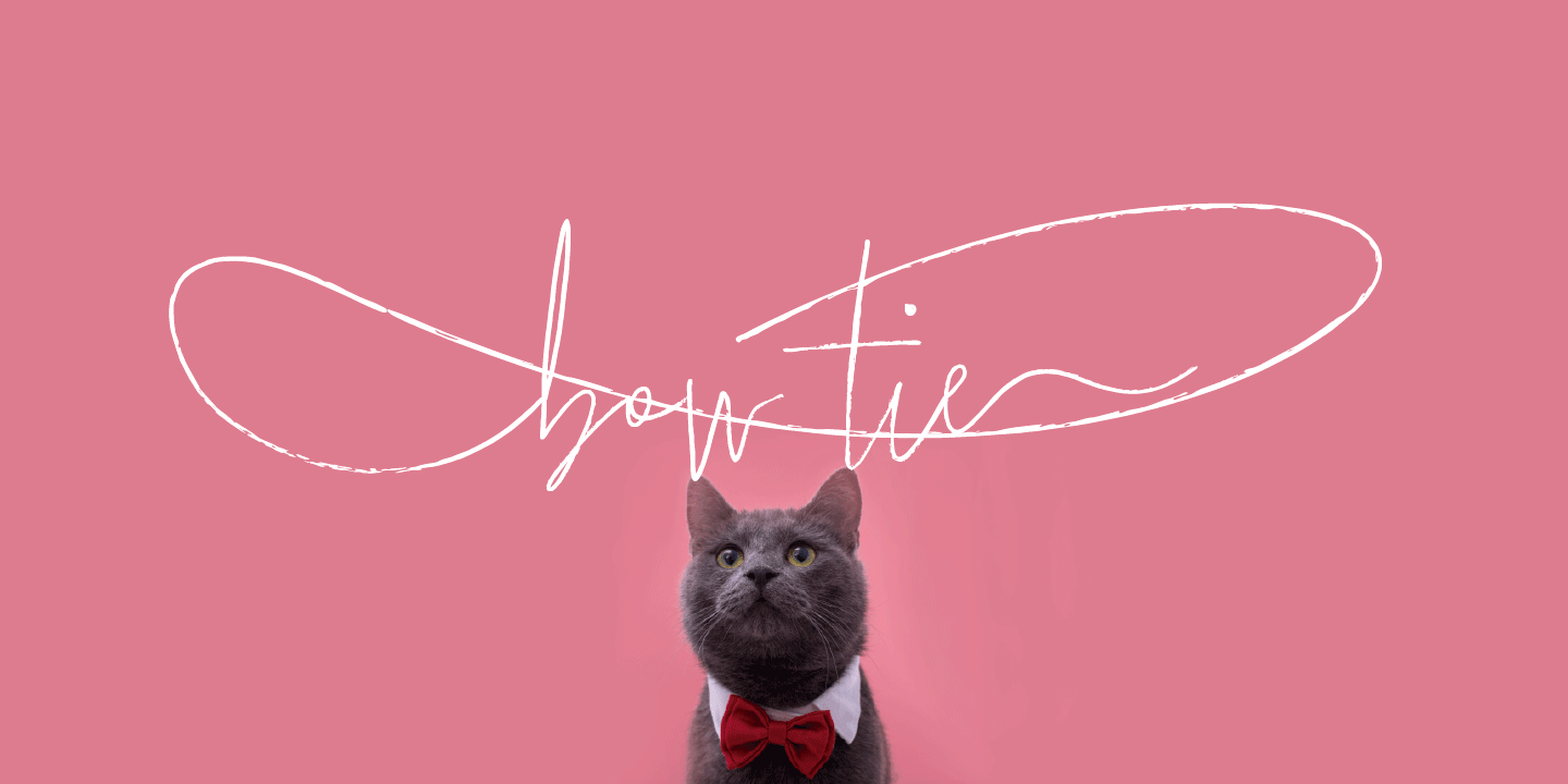 Bow Tie Swash Font