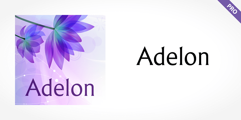 Adelon Pro Font | Fontspring