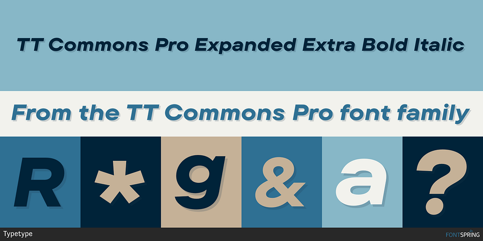 TT Commons Pro Expanded Extra Bold Italic Font