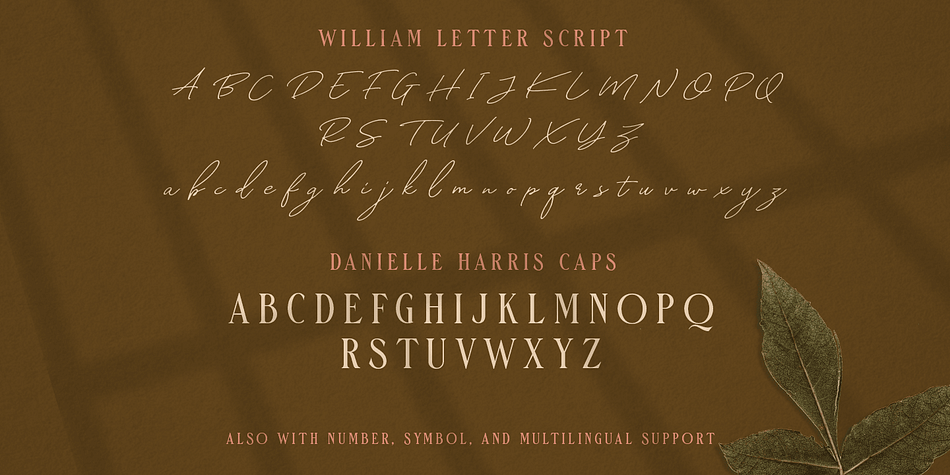 William Letter Font