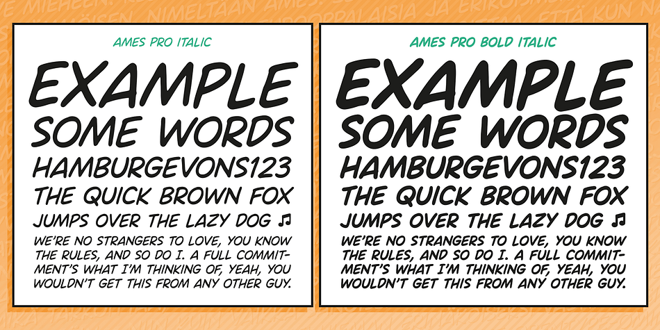 Ames Pro Font