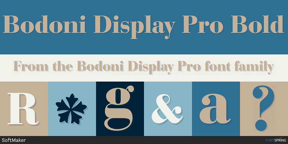 Bodoni Display Pro Bold Font
