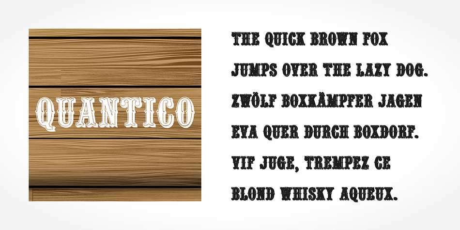 Quantico Pro Font