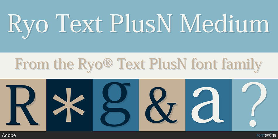 Ryo® Text PlusN Font