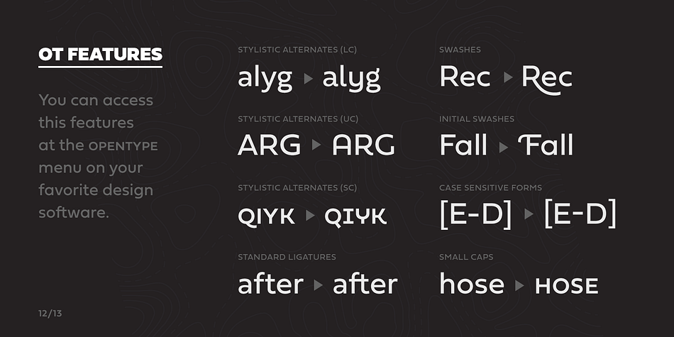 Fieldwork Font