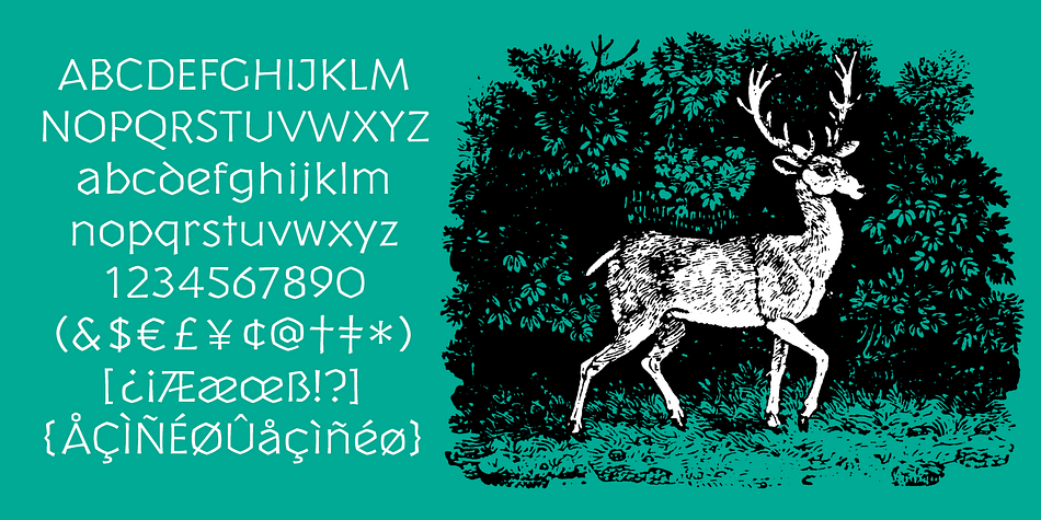 P22 Yule Font