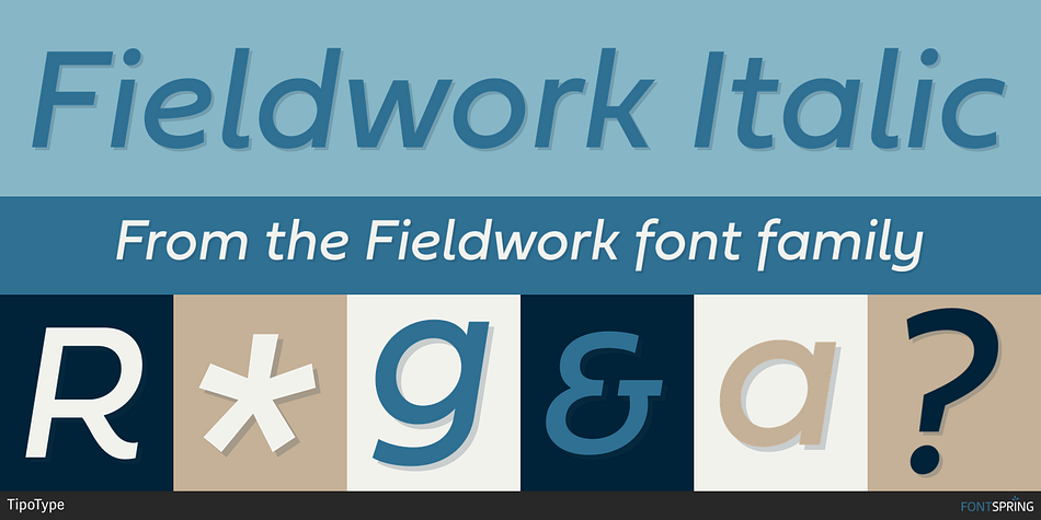 Fieldwork Italic Font