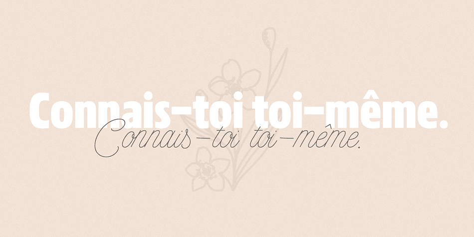 MADE Florence Font | Fontspring