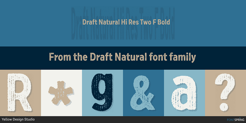 Draft Natural Hi Res Two F Bold Font