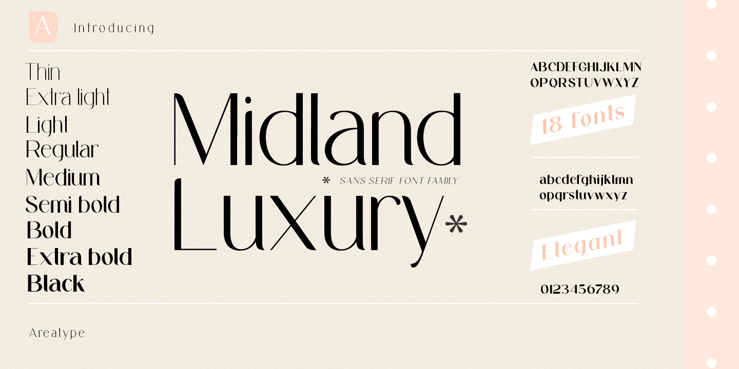 Midland Luxury Font Family Font