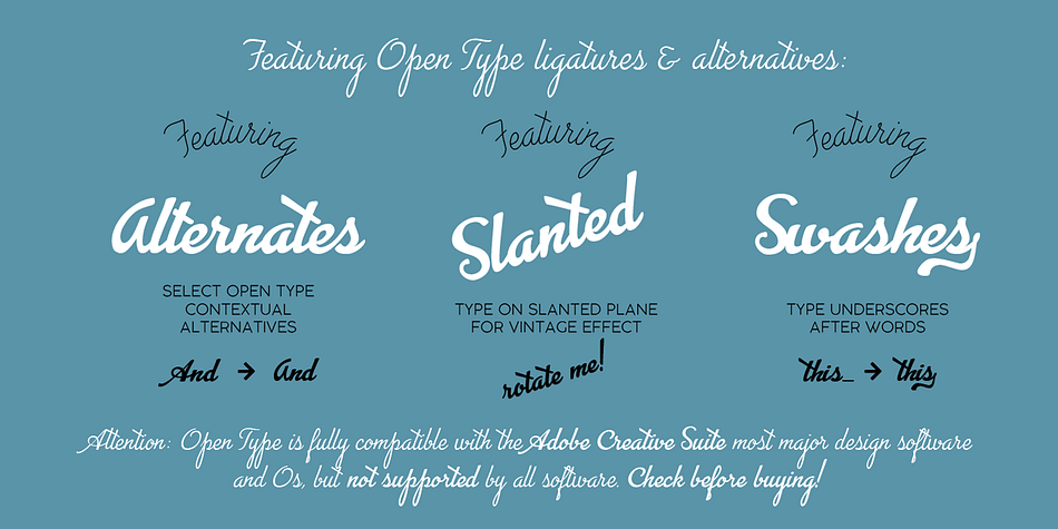 Advertising Script Font
