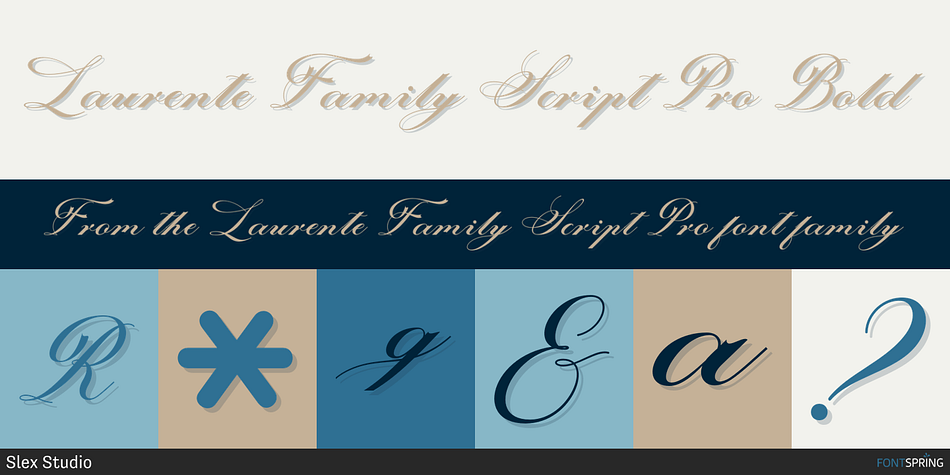 Laurente Family Script Pro Bold Font