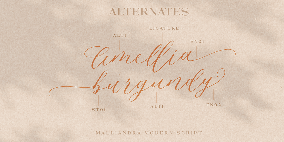Malliandra Script Font