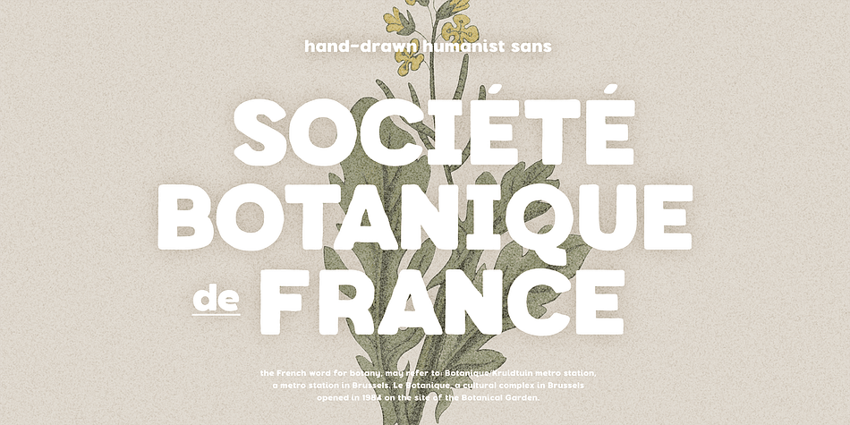 HV Botanique Font | Fontspring