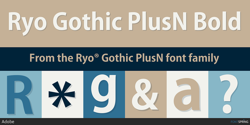 Ryo® Gothic PlusN Font