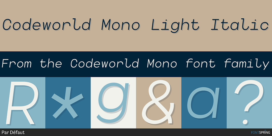 Codeworld Mono Light Italic Font