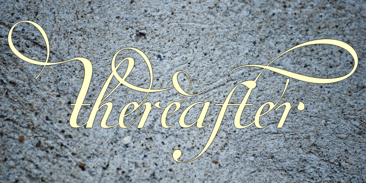 Van den Velde Script Pro Font