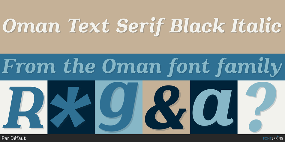 Oman Text Serif Black Italic Font