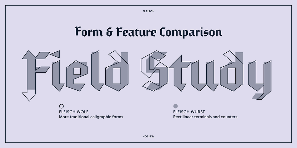 Fleisch Font
