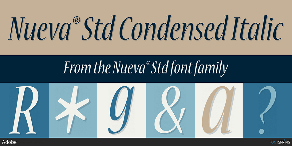 Nueva® Std Font | Fontspring