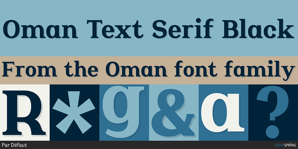 Oman Text Serif Black Font