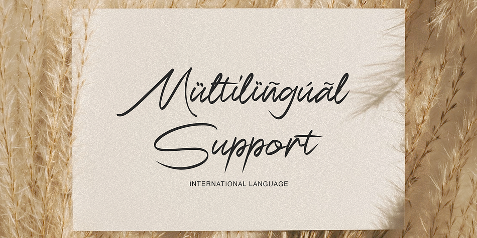 Moonlight Breeze Font