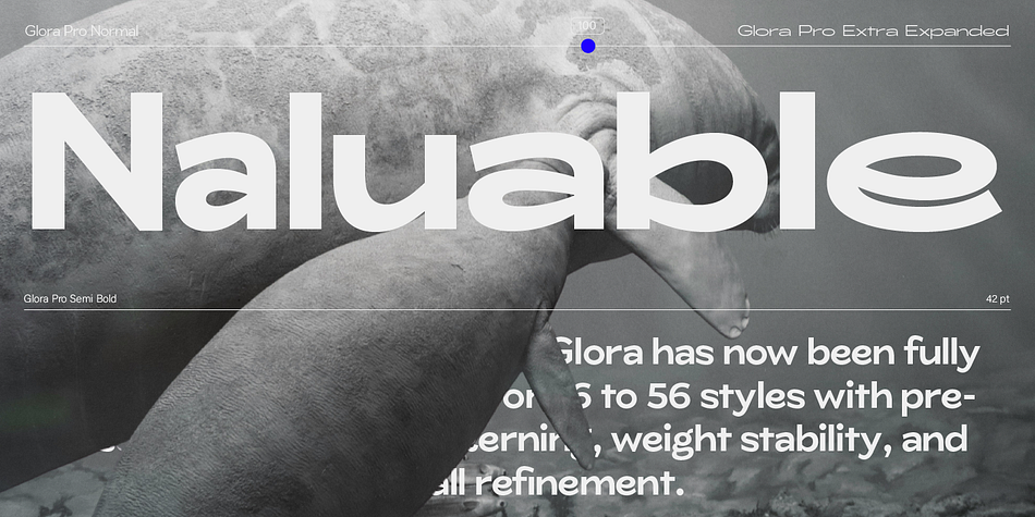 ZT Glora Pro Font