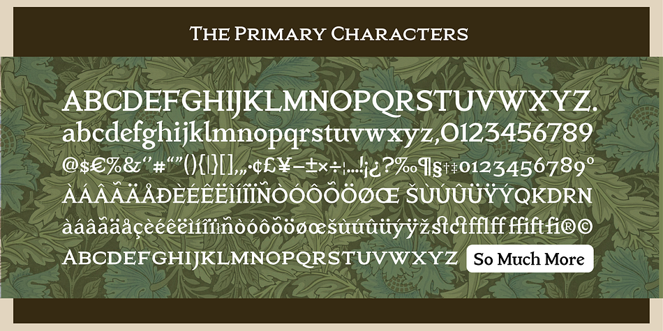 WT Morris Roman Font