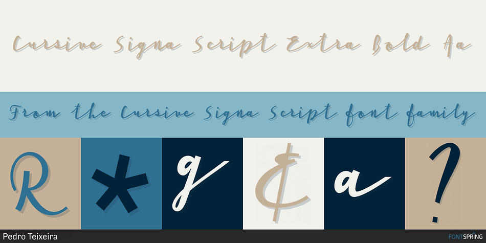 Cursive Signa Script Extra Bold Aa Font
