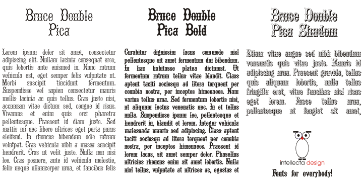 Bruce Double Pica Font