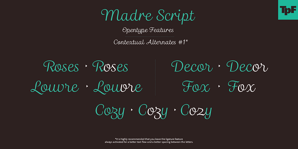 Madre Script Font