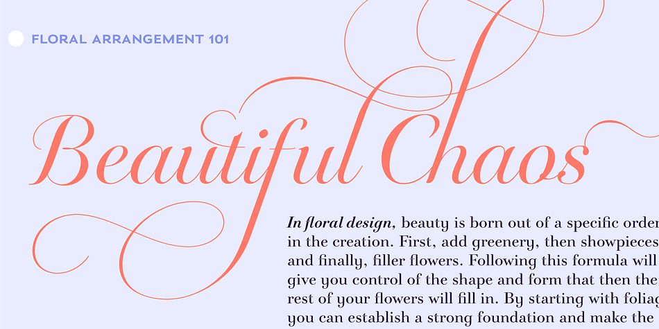 Novantique Script Font