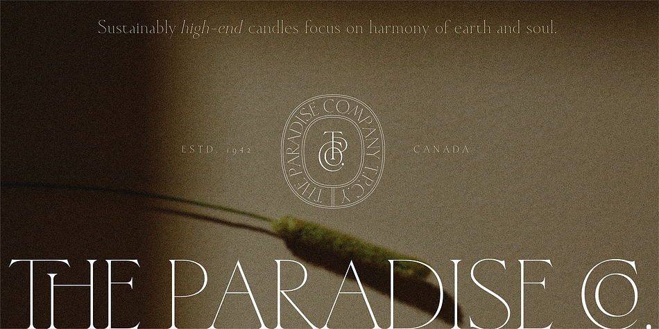 Cedarwood Font