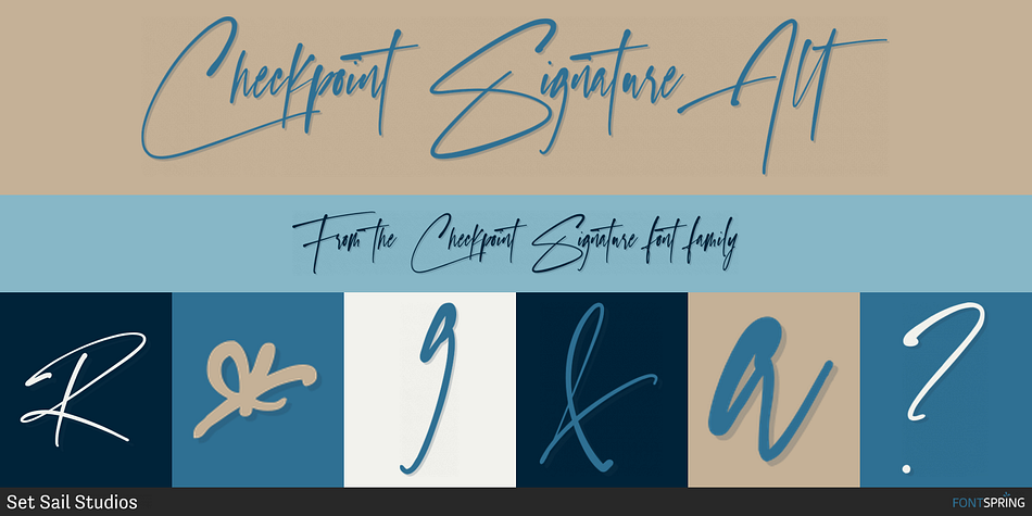 Checkpoint Signature Alt Font
