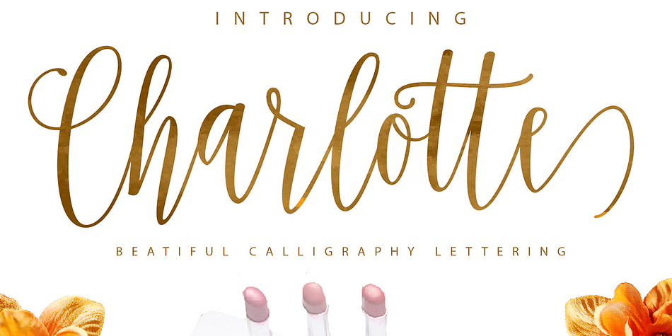 Charlotte Font