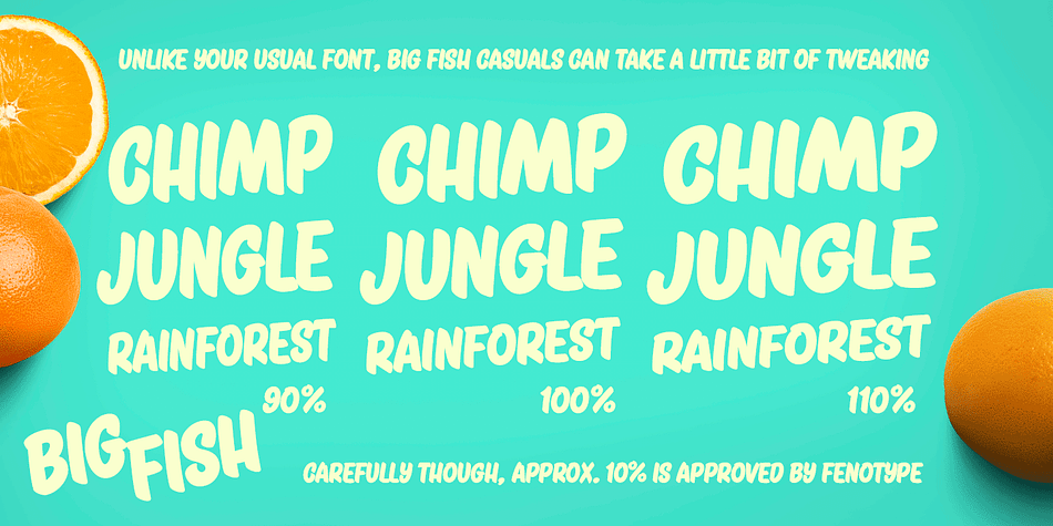 Big Fish Font