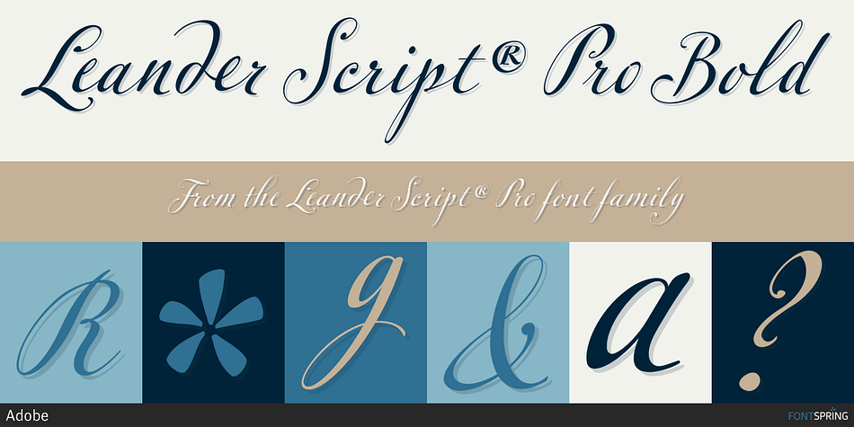 Leander Script® Pro Font