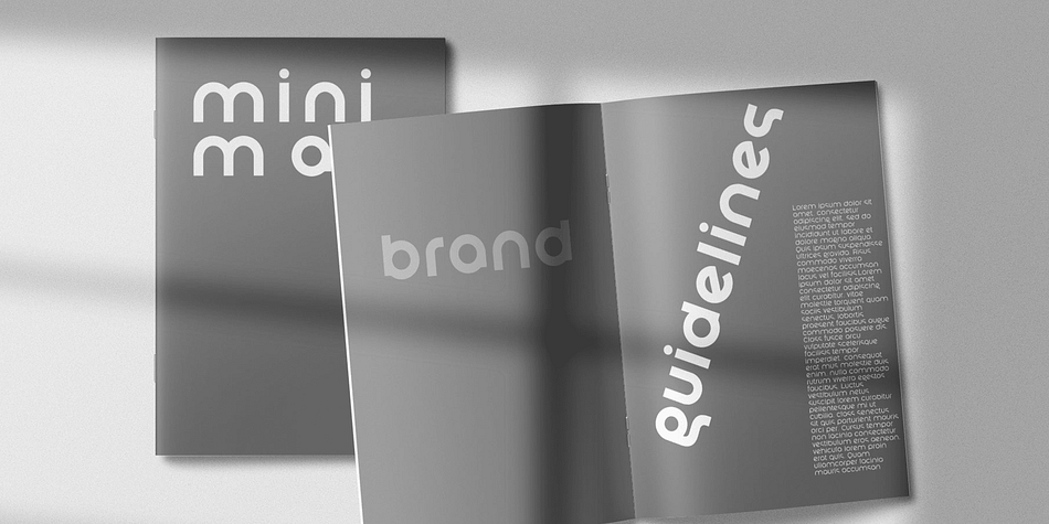 Amonos Display Font Family Font