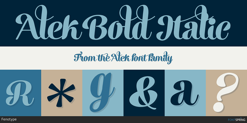 Alek Bold Font