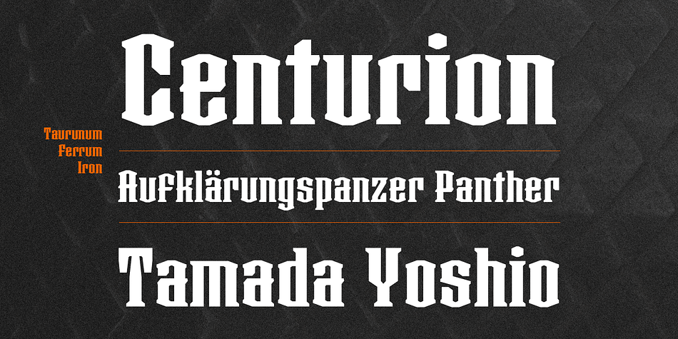 Taurunum Ferrum Font