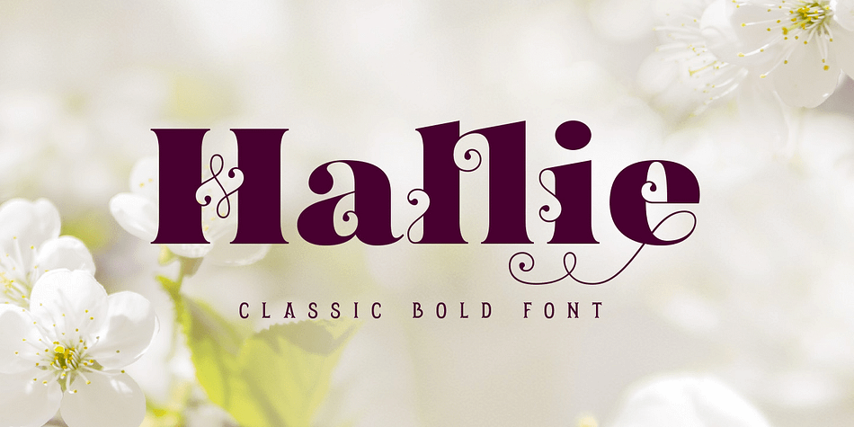 Hallie Font