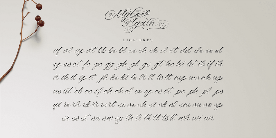 Mybook Again Font