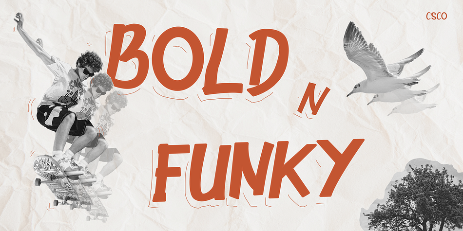 Berkin Font