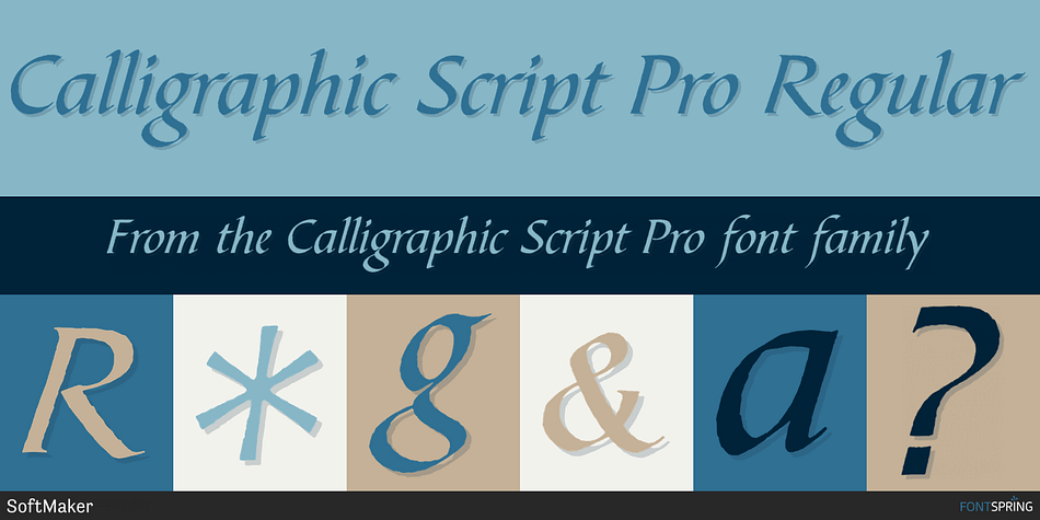 Calligraphic Script Pro Regular Font